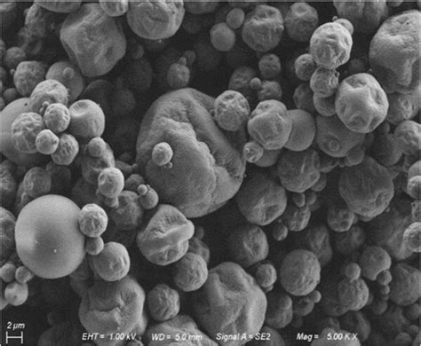 Synbiotic Encapsulation A Trend Towards Increasing Viability And Probiotic Effect Jiménez