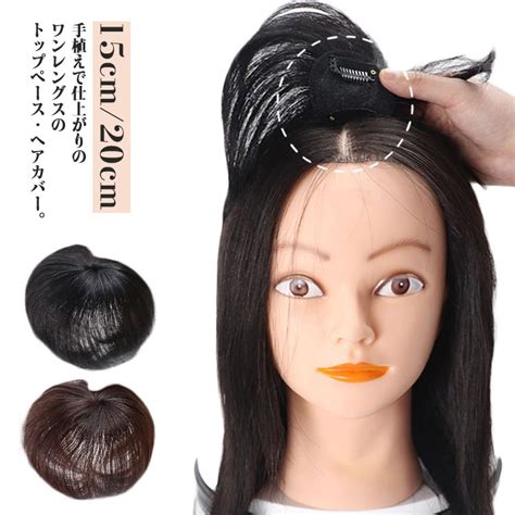【楽天市場】直径6cm 人毛 人毛 長さ15cm 20cm つむじ メンズ 女性用 白髪 隠し 円形脱毛症 頭頂部 ショート ヘアピース 人毛