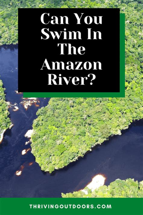 Can You Swim In The Amazon River 10 Intriguing Facts