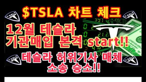 12월 테슬라 기관매입 본격 Start Tsla 차트 체크 나스닥 체크 테슬라 허위기사 매체 소송 승소 테슬라 투자 Tesla 주가 Youtube