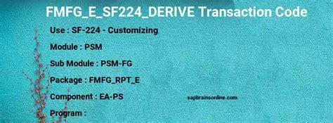 FMFG E SF DERIVE SAP Tcode For SF Customizing
