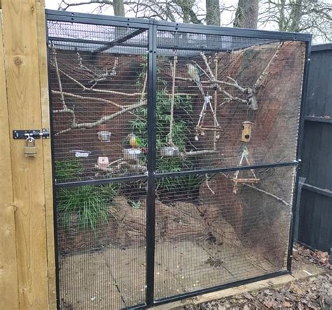 Conure Aviary