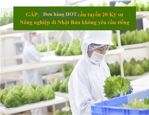 GẤp Cần Tuyển 20 Kỹ Sư Nông Nghiệp đi Nhật Bản Không Yêu Cầu Tiếng
