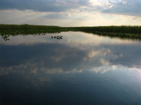 Everglades Holiday Park Airboat Ride 033