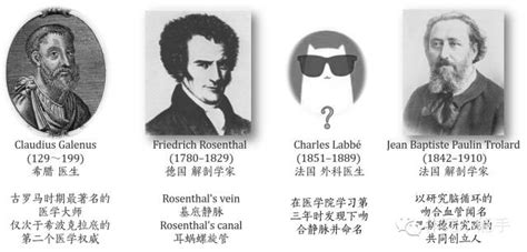 大脑静脉系统的解剖与影像 脑医汇