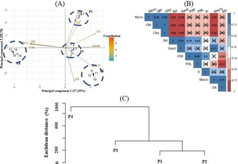 Principal Component Analysis Biplot A Pearson Correlation Matrix