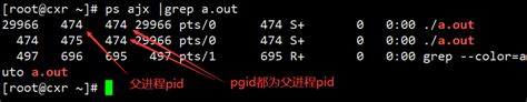 Linux系统编程 终端、进程组、会话会话 终端 进程组 Csdn博客