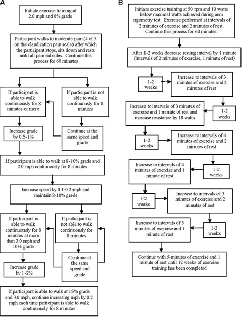 A Treadmill Exercise Training Program B Arm Ergometry Exercise