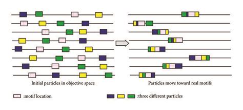 Interpretation Of Particle Trajectories In The Search Space Download
