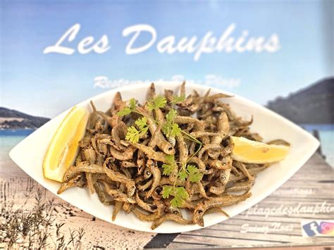 Menus La Plage Des Dauphins