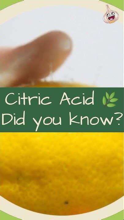 Citricacid Youtube