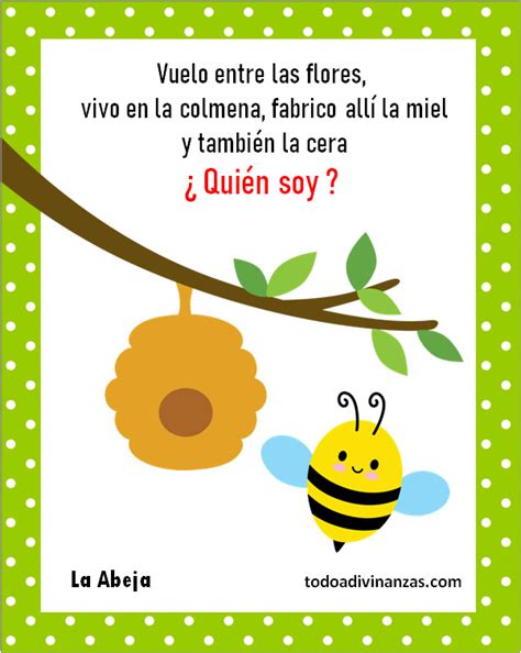 Las Mejores Adivinanzas De Insectos Con imágenes y dibujos 2020