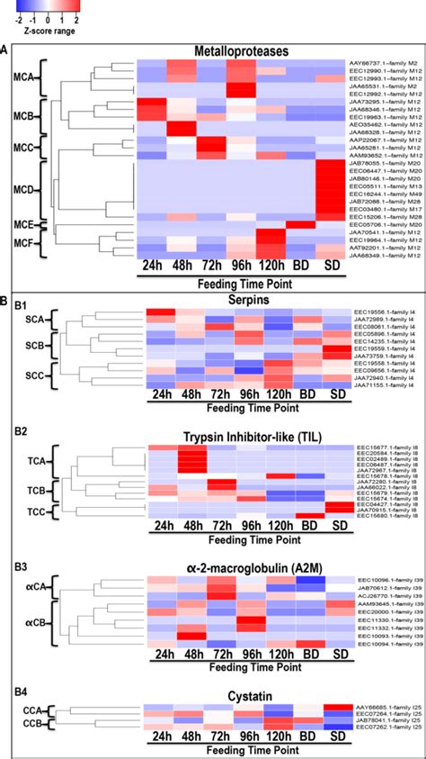 Pci Dss 3 2 Requirements Spreadsheet With Pci Dss 3 2 Requirements