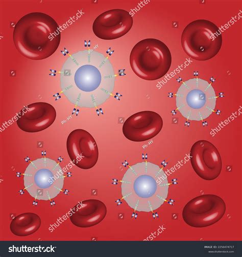 Chimeric Antigen Receptor T Cell Car Stock Vector Royalty Free 2256474717 Shutterstock