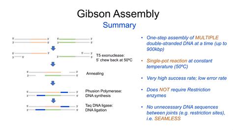 Gibson Assembly A Seamless Molecular Cloning Technique Pptx