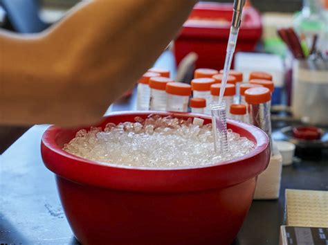 Super Resolution Ribosome Profiling