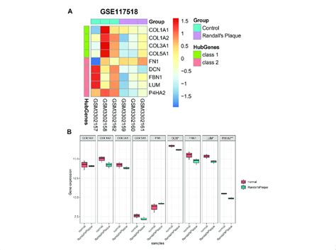 A Differential Expression Of Nine Hub Genes In Gse B
