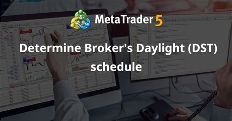 mql5 code base에서 amrali 이 가 제작한 metatrader 5용 스크립트 determine broker s