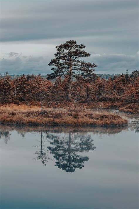 Data Warehousing Redshift Bigquery Snowflake Innovative Data