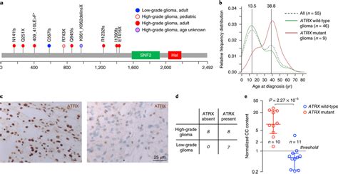 Analysis Of Atrx Somatic Mutations In Nf1 Glioma Patients A Atrx Download Scientific Diagram