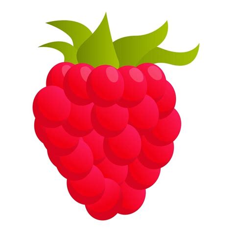 Raspberry Food Symbol Karikatur Von Raspberry Food Vektor Symbole Für