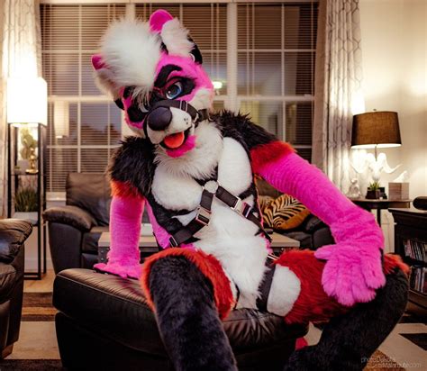 Pin On Fursuits