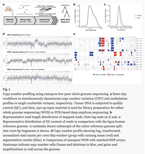 Cancer Amplicon Nanopore Sequencing Enseqlopedia