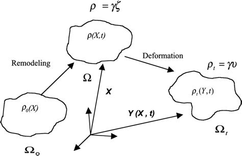 Lagrangian Description For The Remodeling Problem Download Scientific Diagram