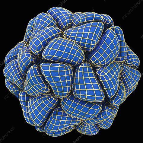 Satellite Tobacco Necrosis Virus Capsid Stock Image C0357834