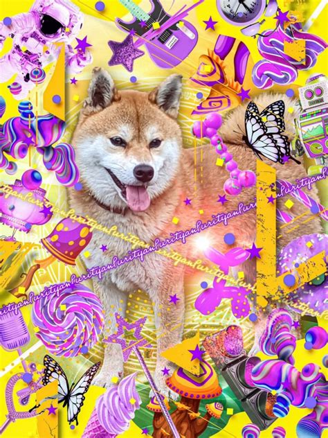 自由奔放悪ガキアイドル プランクスターズ プリちゃん 柴犬 研修先 Yumeado Europeに決定！！：プランクスターズ アイドル