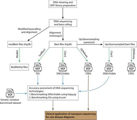 Benchmarking Nanopore Sequencing And Rapid Genomics Feasibility Validation At A Quaternary