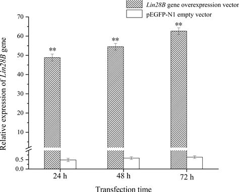 Aab Lin28b Overexpression Decreases Let 7b And Let 7g Levels And Increases Proliferation And