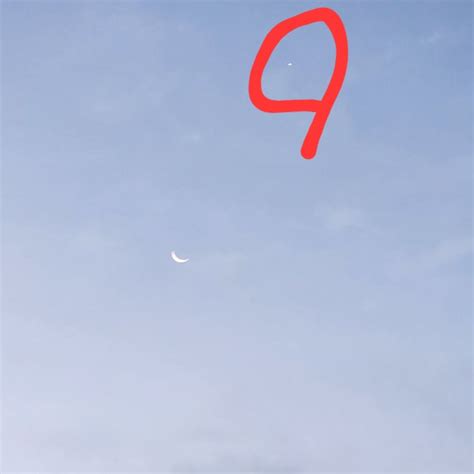 달 위에 별이름 지식in