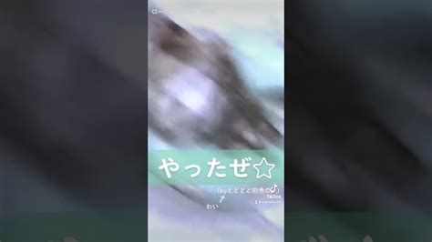 ローソン原神コラボかミ （ Tiktokでアップした動画持ってきました（）） 原神動画まとめ