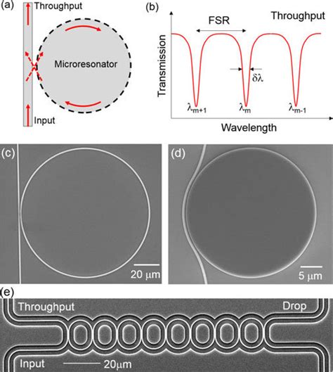 A Schematic Of A Waveguide Coupled Microresonator Arrows Indicate Download Scientific
