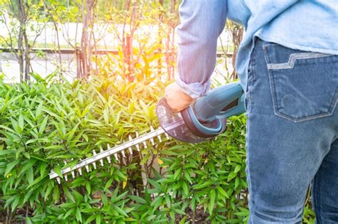 Premium Photo Woman Taking Care And Growing Plants Hobby Planting