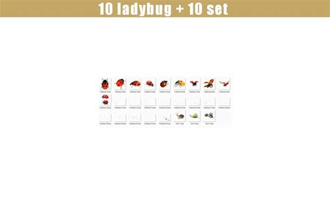 20 Ladybug Photo Overlays Masterbundles