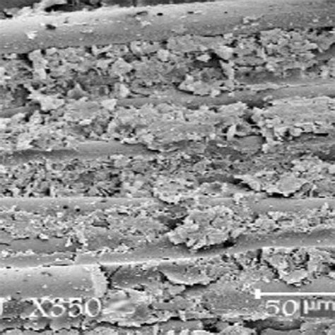 Microstructure Of The Polyesterglass Fiber Composite Download