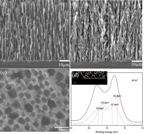 Cross Sectional Sem Image Of A Cross Section Of The Porous Silicon Download Scientific