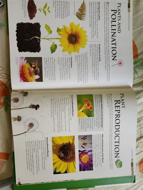 Geography Encyclopedia Hobbies And Toys Books And Magazines Textbooks On