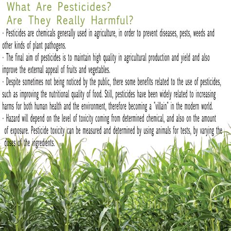 What Are Pesticides And Are They Really Harmful Insanitek