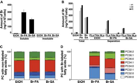 Icp Ms Measurement And Lc Ms Analyses Of The Cells Under The Same Download Scientific Diagram