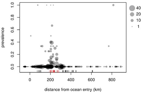 Prevalence Of Tenacibaculum Maritimum Infection Detected Via