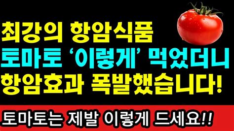 최고의 항암식품 토마토 이렇게 먹었더니 항암효과 극대화 되었습니다 I 암이 사라지는 식사 I 항산화 밥상 Youtube