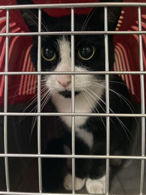 Help Save Kiki Album On Imgur