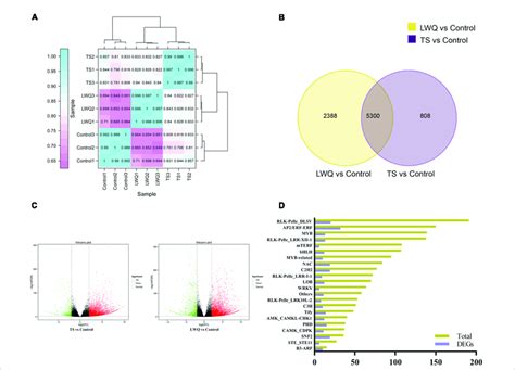 Global Evaluation Of Transcriptome Sequencing Data Of Spruce A