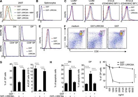 Dn Thymocyte Maturation Requires Interaction Of Lrrc8a With A Ligand