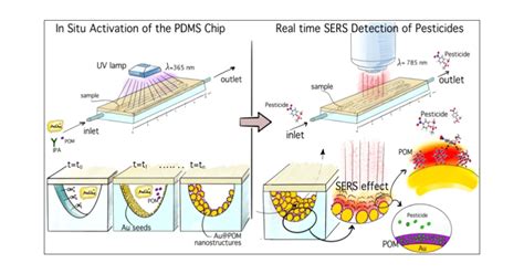 In Situ Synthesis Of Sers Active Au Pom Nanostructures In A Microfluidic Device For Real Time