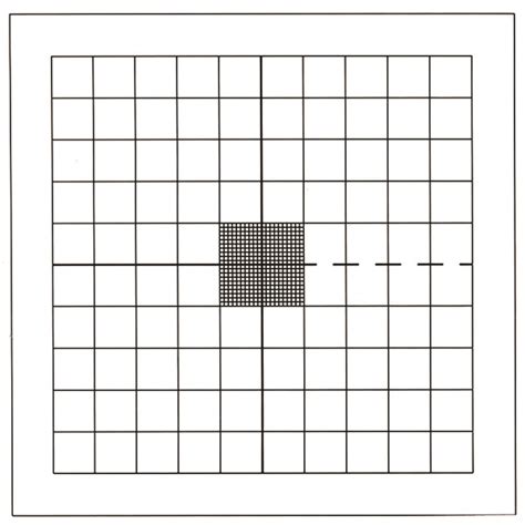 Pgr100 Calibration Grid