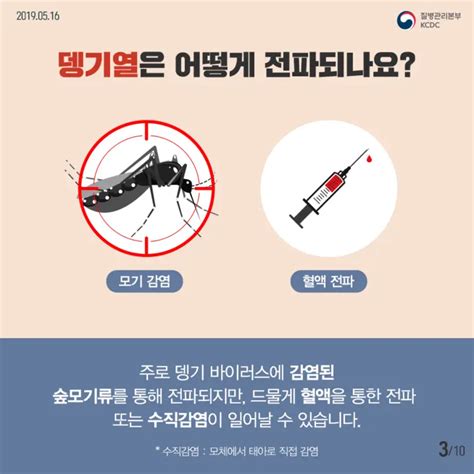 뎅기열 원인과 증상 발리 베트남 등 해외여행 전후 예방 수칙과 치료 방법
